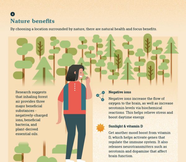 How to do a Think Week Like Bill Gates - Runaway Suitcase