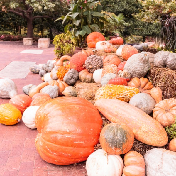Best Fall Festivals in the US - Runaway Suitcase