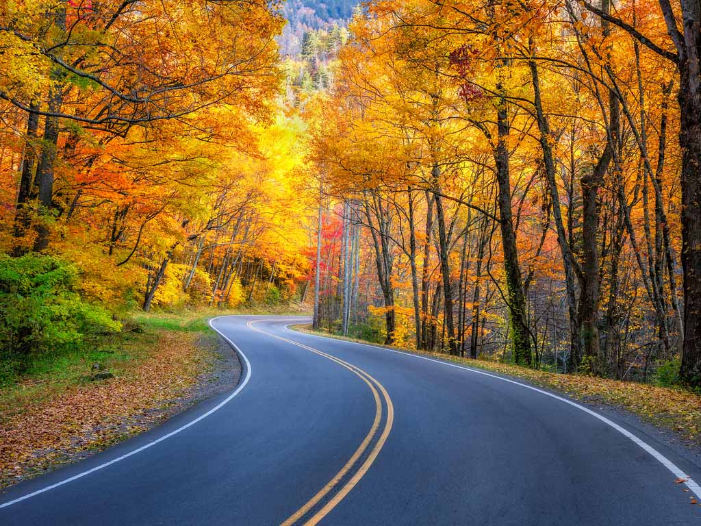 Best Places to See Fall Colors near You - Runaway Suitcase